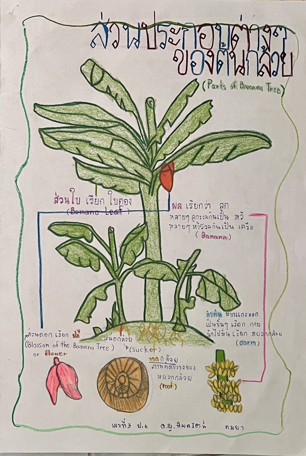 Inskru | วิธีปฏิบัติที่เป็นเลิศ (Best Practice) (โครงงานคอมพิวเตอร์)
