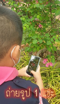 Inskru | Google Lens เข้าใจโลกรอบตัว