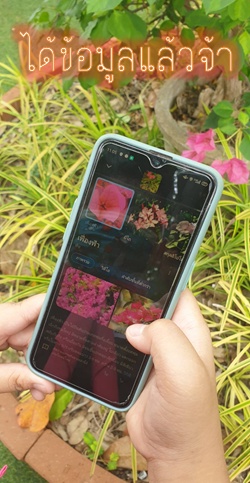 Inskru | Google Lens เข้าใจโลกรอบตัว