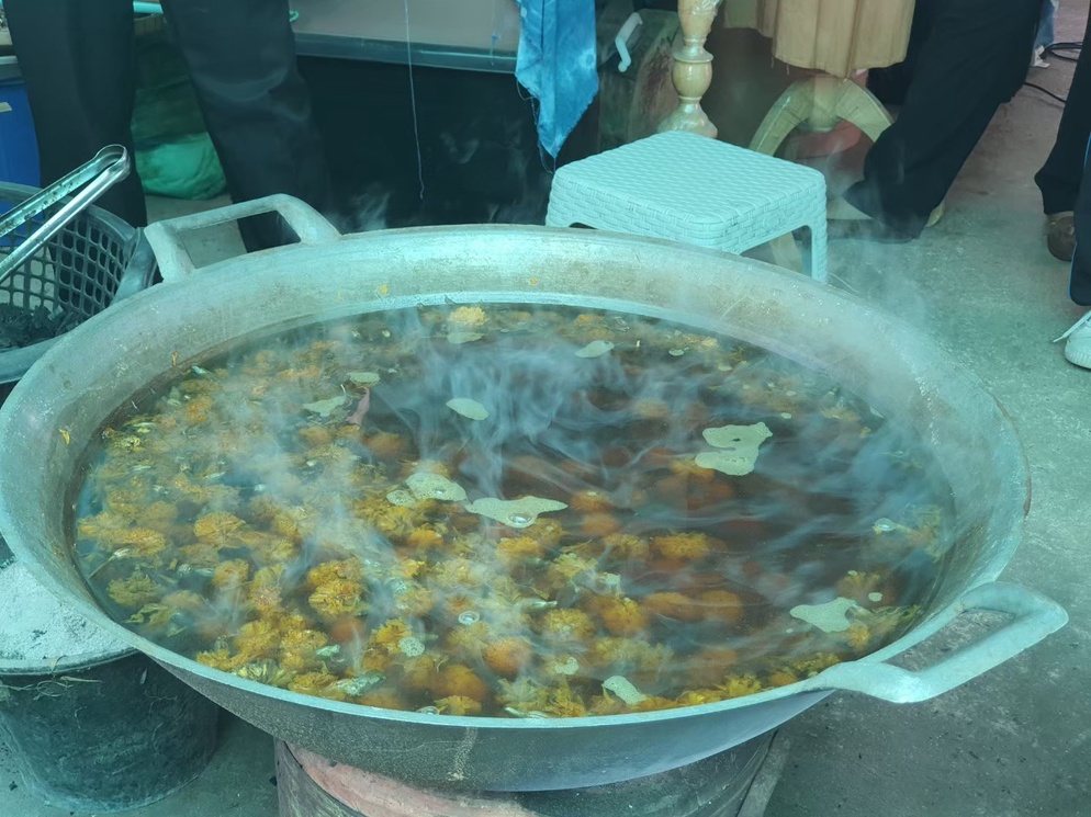 Inskru | "เพาะ......กล้าดี D.I.Y."